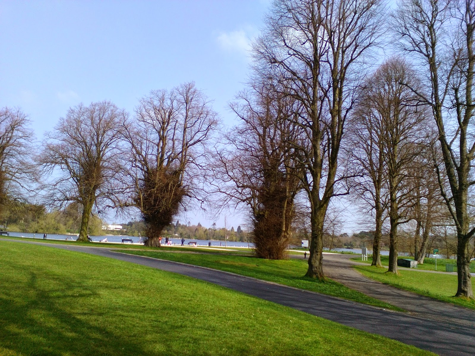 The History of Lurgan: Lurgan Park Pictures